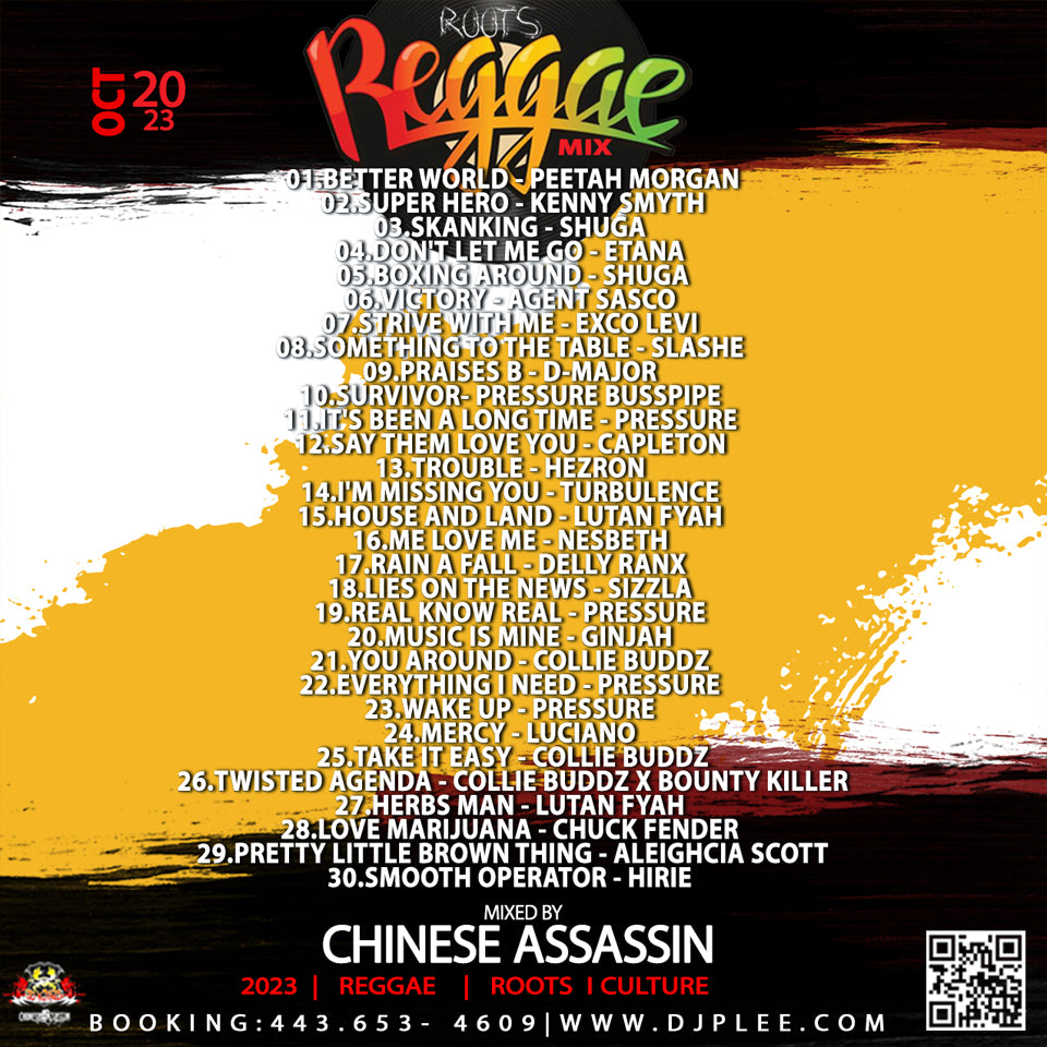 Roots Reggae Mix 2 – Dj P-lee